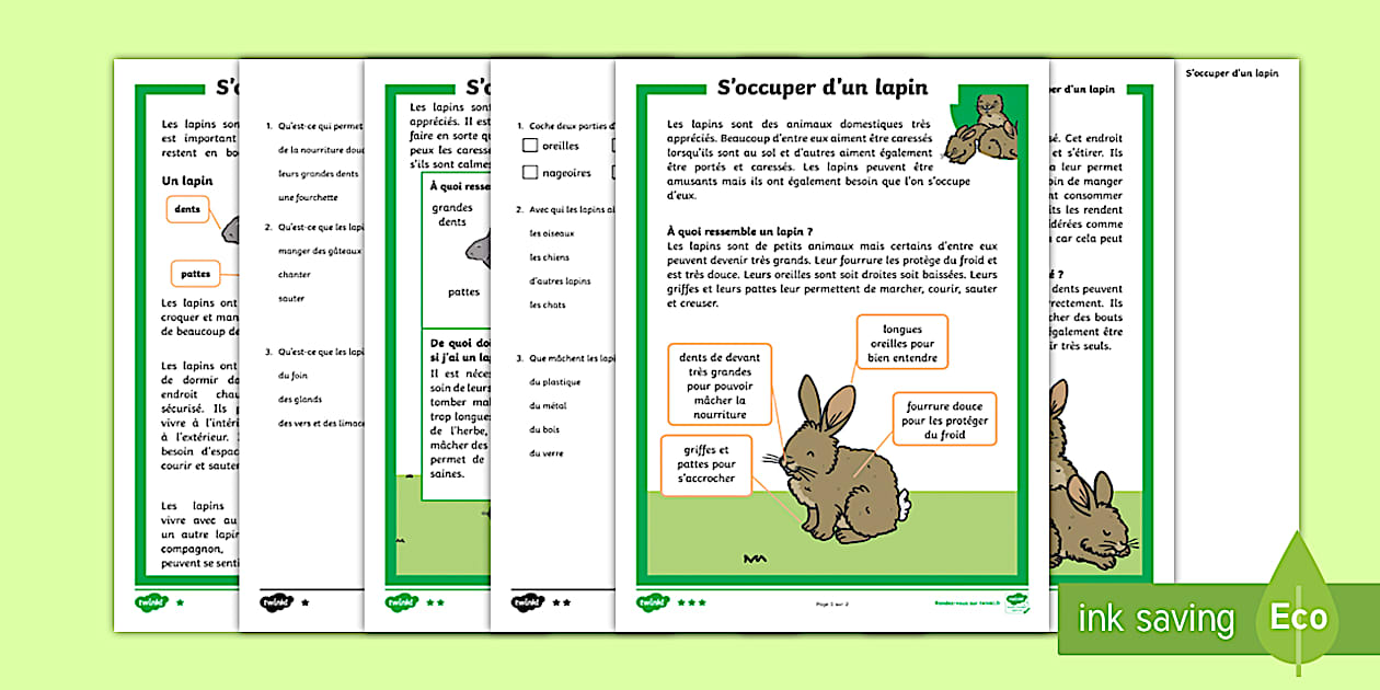 Fiches d'activités différenciées : s'occuper d'un lapin