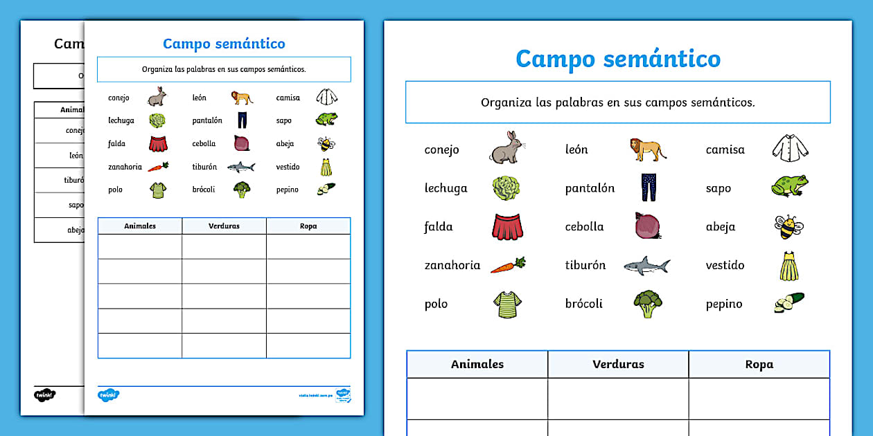 Ficha de actividad: Campo semántico (teacher made) - Twinkl