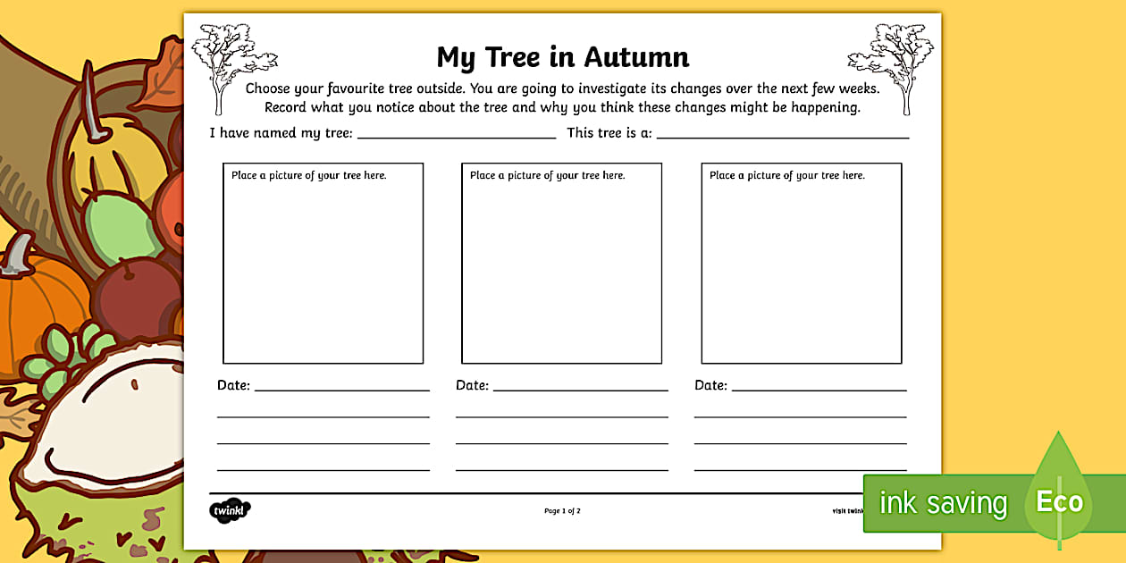 Autumn Tree Investigation Worksheet / Worksheet - Twinkl