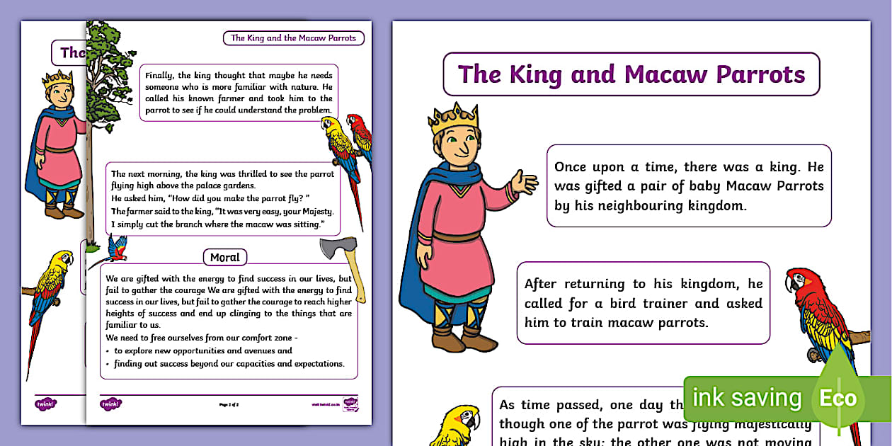 Story: The King and Macaw Parrots (teacher made) - Twinkl