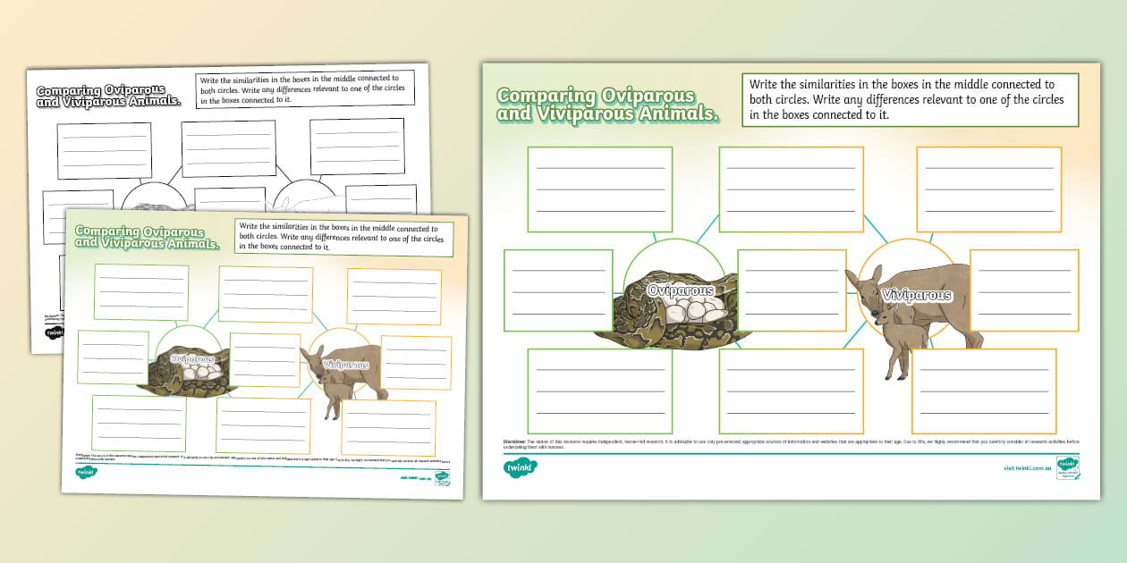 Comparing Oviparous and Viviparous Mind Map (teacher made)