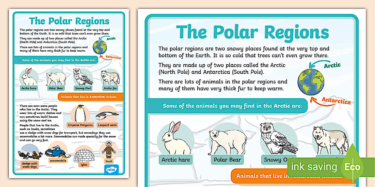 Polar Regions Large Information Poster - Twinkl