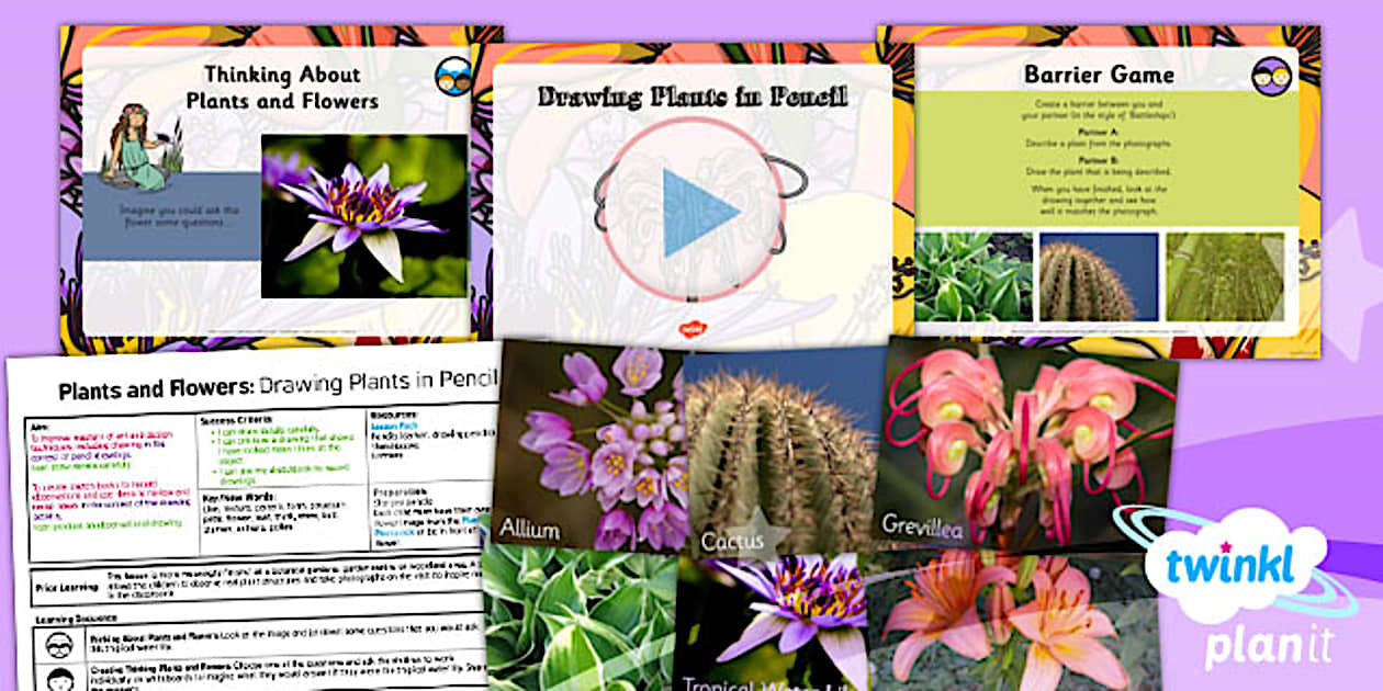 How To Make A Plant Drawing | Plants & Flowers Art Lesson