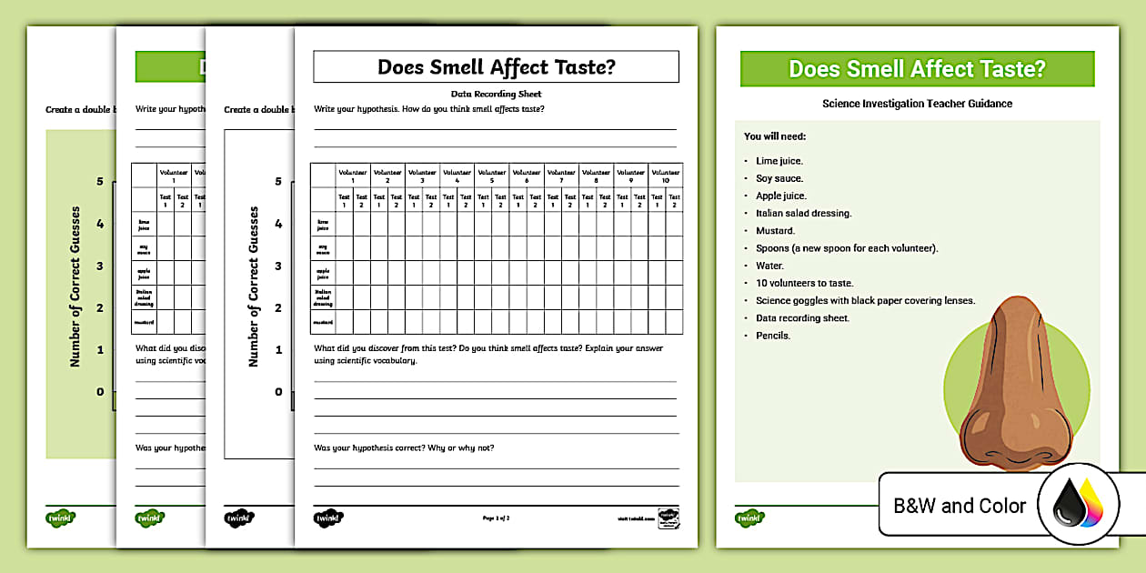 Does Smell Affect Taste? Science Investigation Worksheet