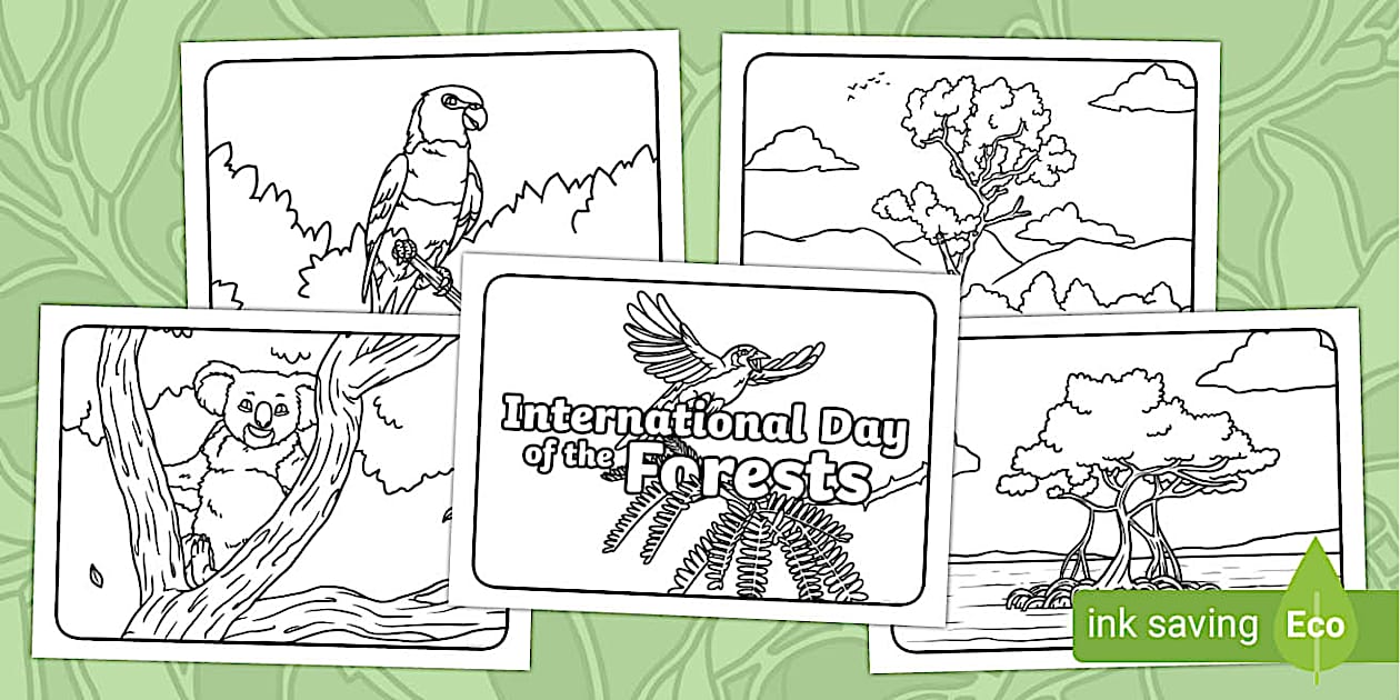 International Day of the Forest Colouring Pages - Twinkl