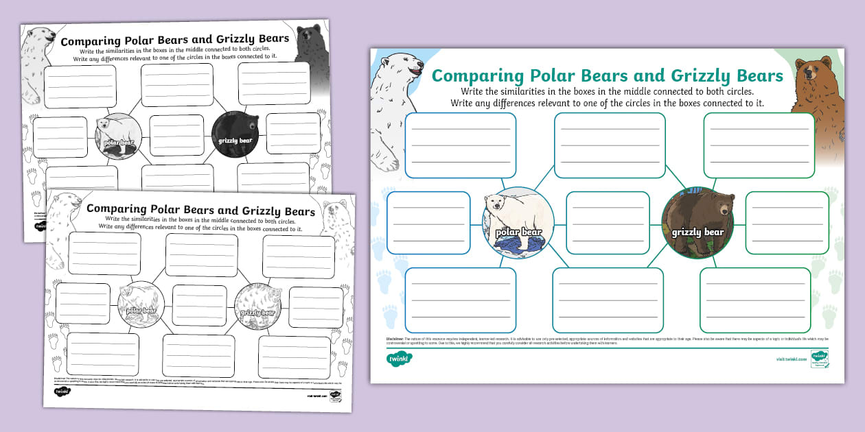 * NEW * Polar Bear and Grizzly Bear Comparison Mind Map