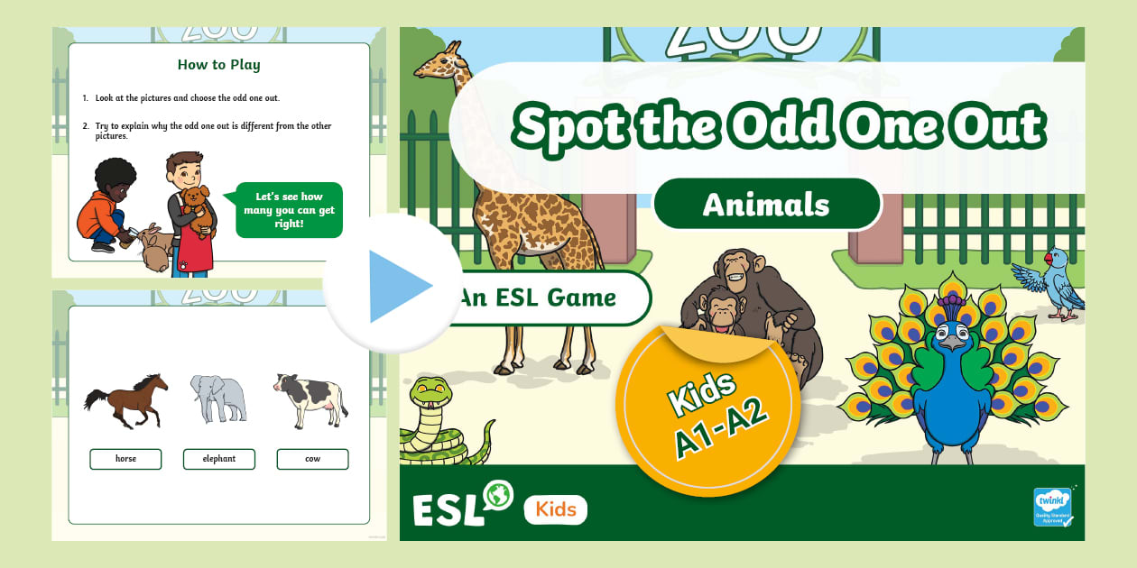 ESL Animals Odd One Out Game {Twinkl} (teacher made)