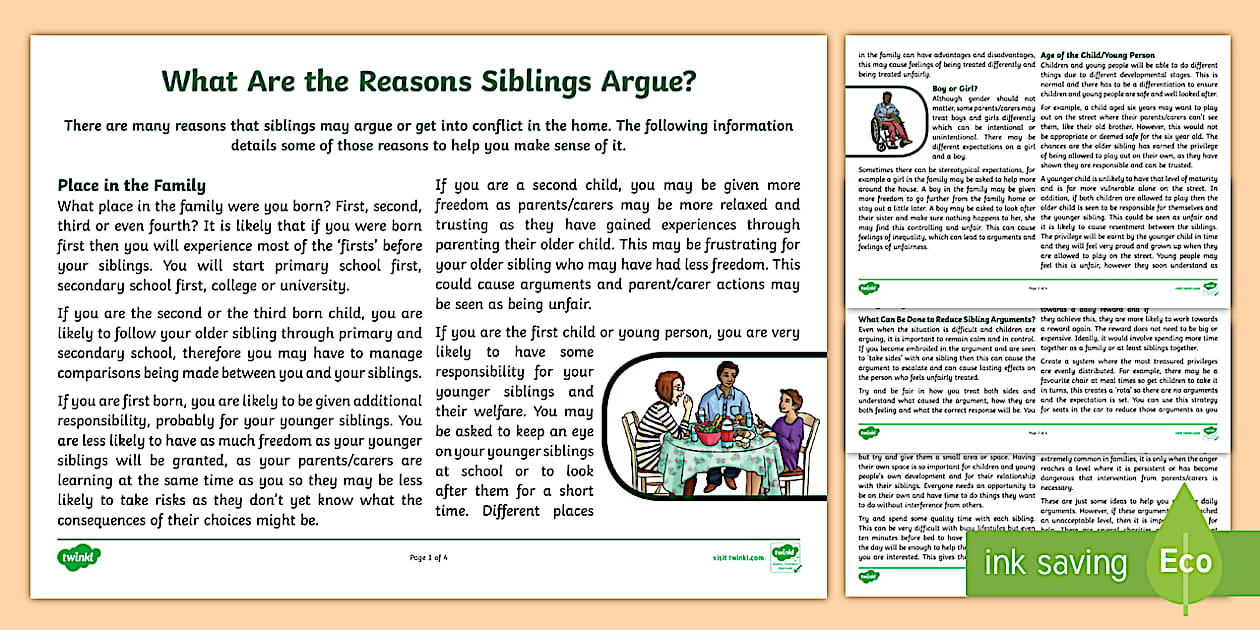 What Are the Reasons Siblings Argue Guide (teacher made)