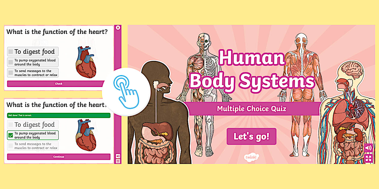 Human Body Systems Interactive Quiz (teacher made) - Twinkl