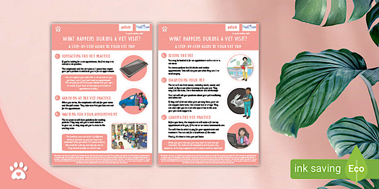 What Happens During a Vet Visit? - Information Sheet - Pets