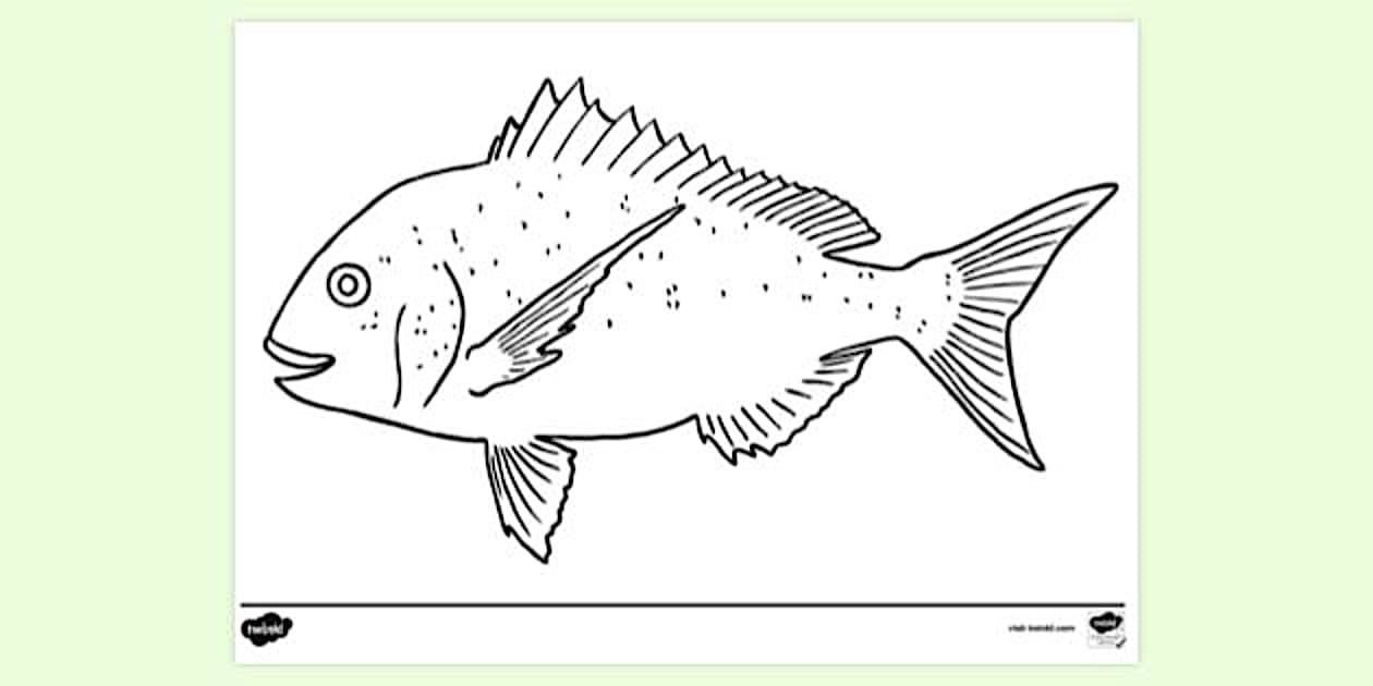 Free Printable Fish Colouring Page | Colouring Sheet