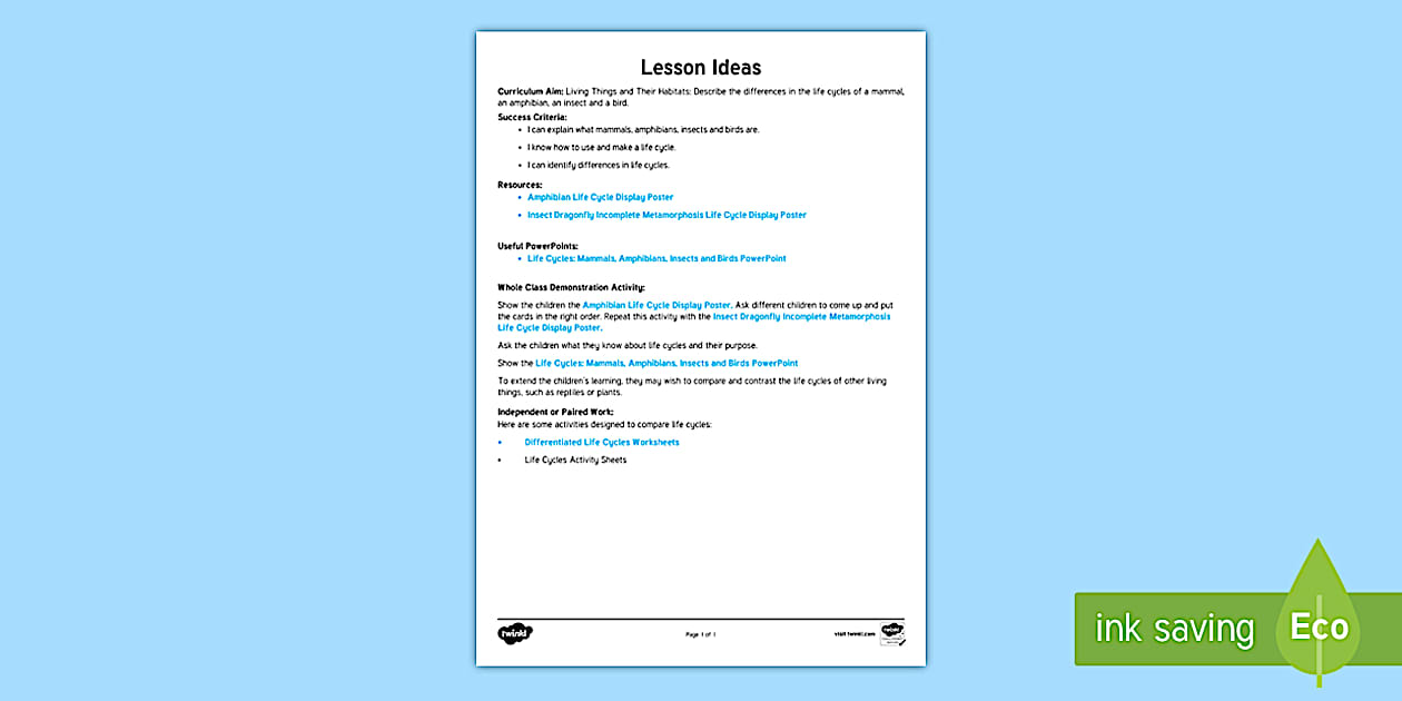 Life Cycles: Mammals, Amphibians, Insects and Birds Lesson Ideas