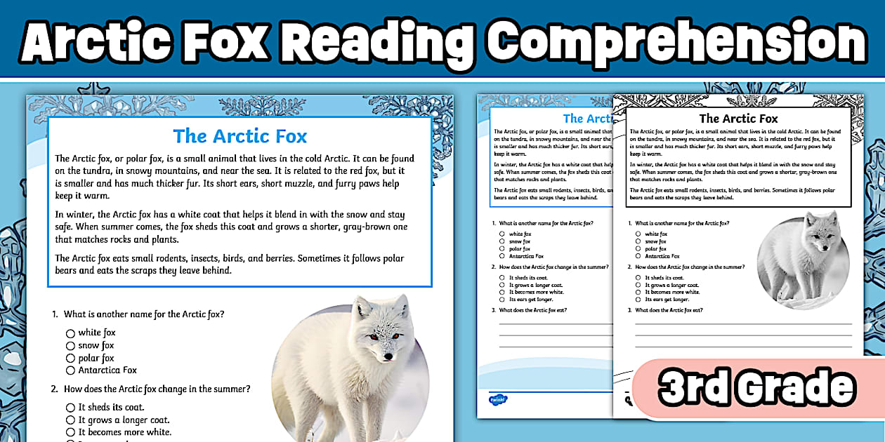 Third Grade Arctic Fox Reading Passage Comprehension