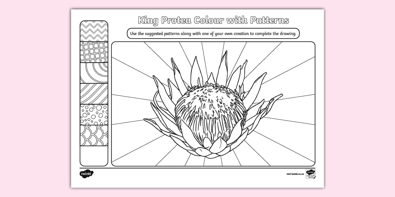 Foundation Phase - Life Skills Creative Arts - King Protea Colour with