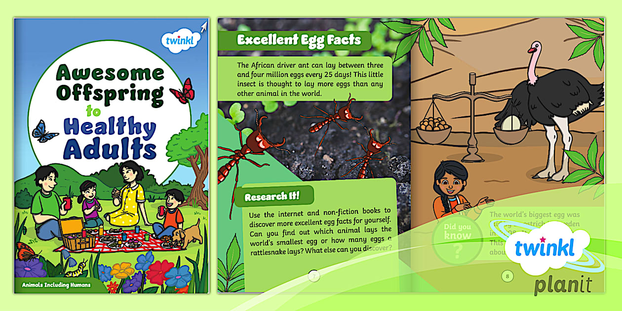 Animals, Including Humans E-Book | Year 2 Science & English