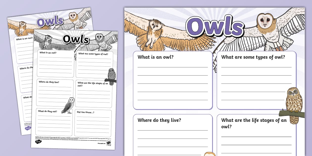 Owls Fact File Template - Twinkl Primary (Teacher-Made)