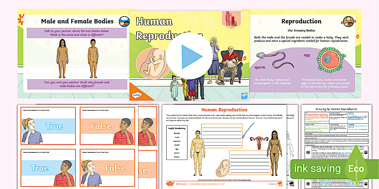 Growing Up Lesson 1: Human Reproduction Lesson Pack - Twinkl