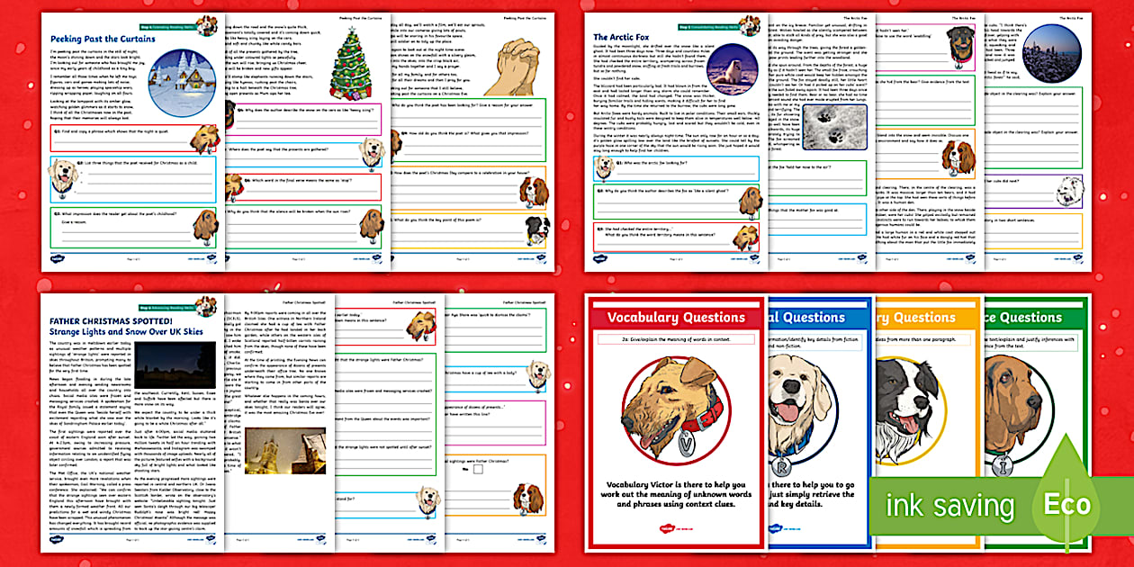 A Very Merry Christmas Focused Reading Skills Comprehension Pack