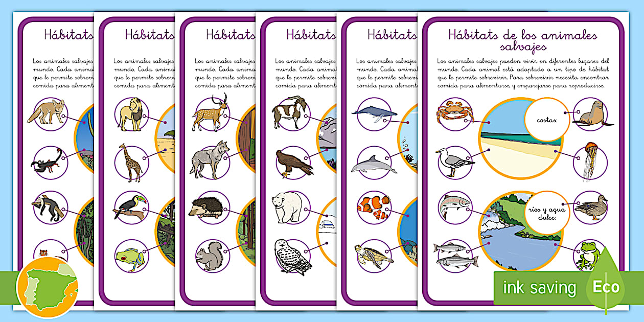 Hoja informativa: Hábitats de los animales salvajes