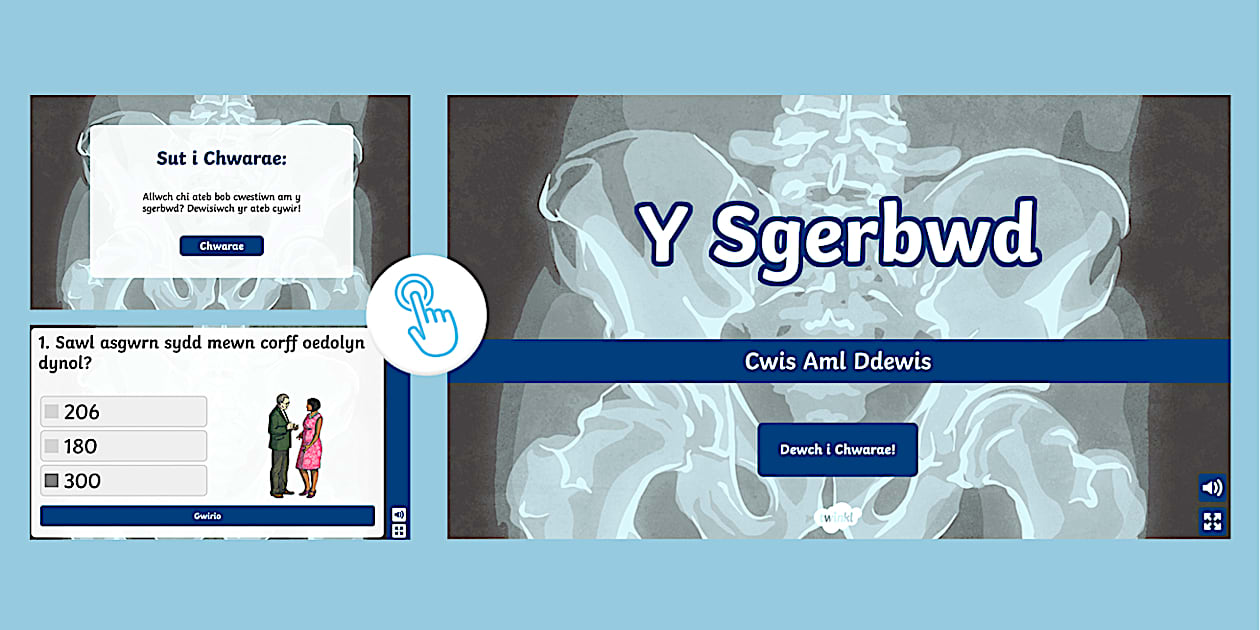 Cwis Rhyngweithiol Amlddewis Y Sgerbwd (teacher made)