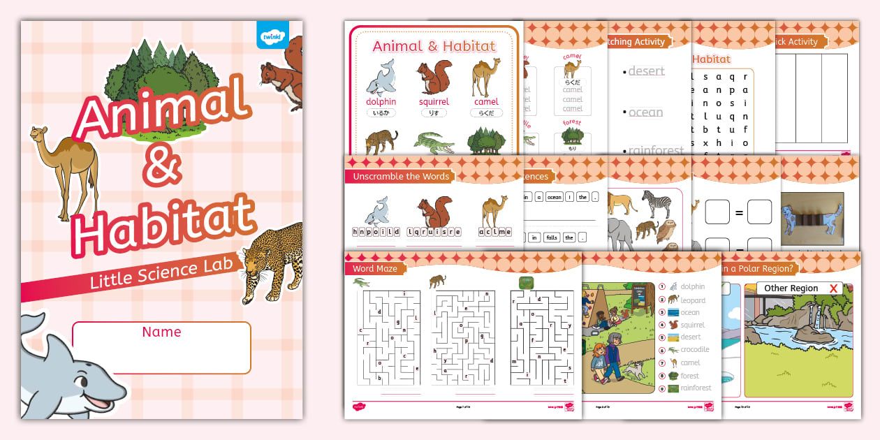 Little Science Lab Workbook: Animal and Habitat - Twinkl
