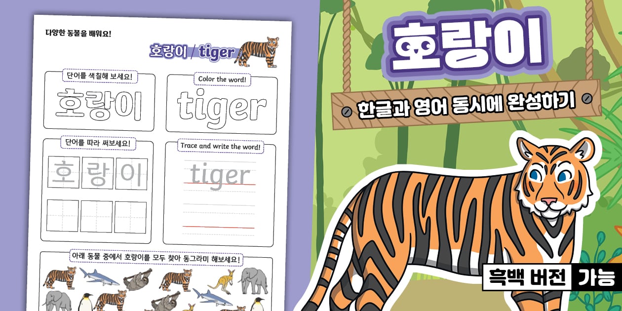 한글과 영어 동시에 완성하기 | 동물 | 호랑이 | Animal Tiger Tracing Activity (Korean ...
