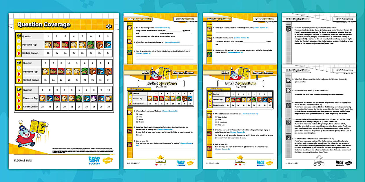 FREE! - Holes Chapter Chatter Pack 6 [UKS2] (teacher made)