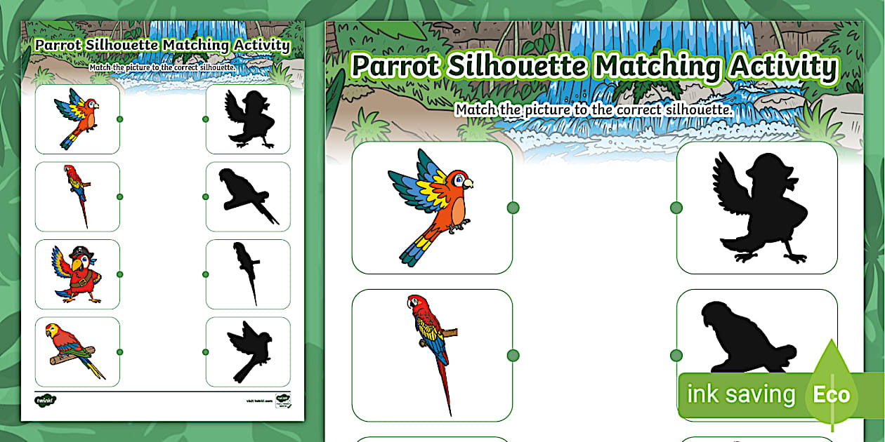 Parrot Silhouette Matching Activity (teacher made) - Twinkl