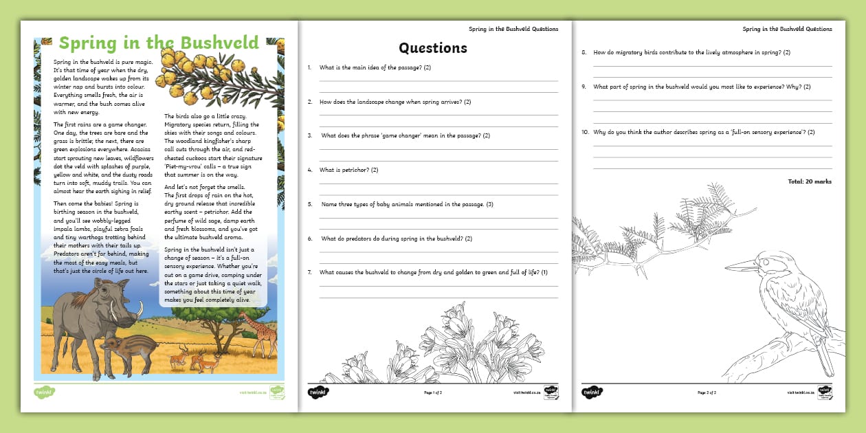 Spring in the Bush Reading Comprehension - Twinkl