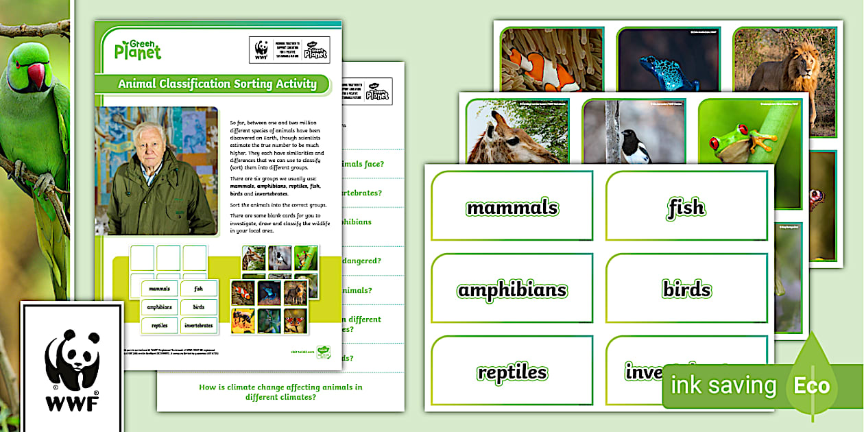 FREE! - Printable Animal Classification Game | WWF & Twinkl