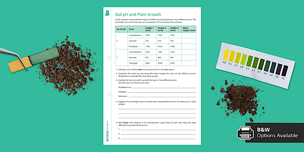 Soil pH and Plant Growth Worksheet (teacher made) - Twinkl