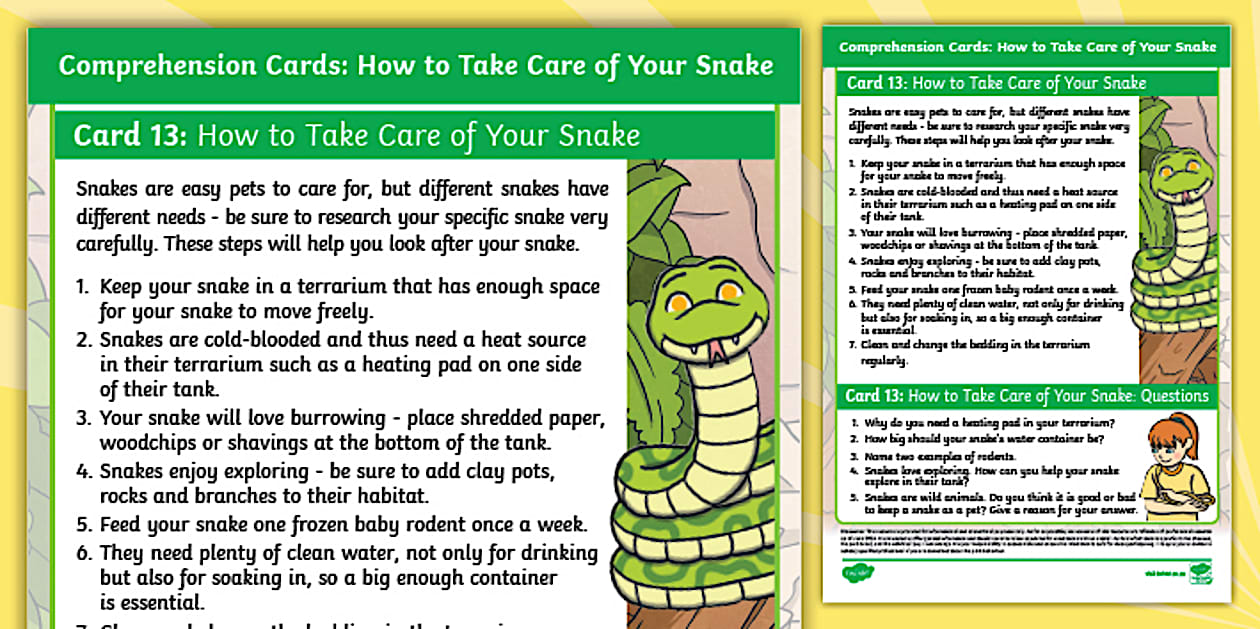 Comprehension Card: How to Care for Your Snake - Twinkl