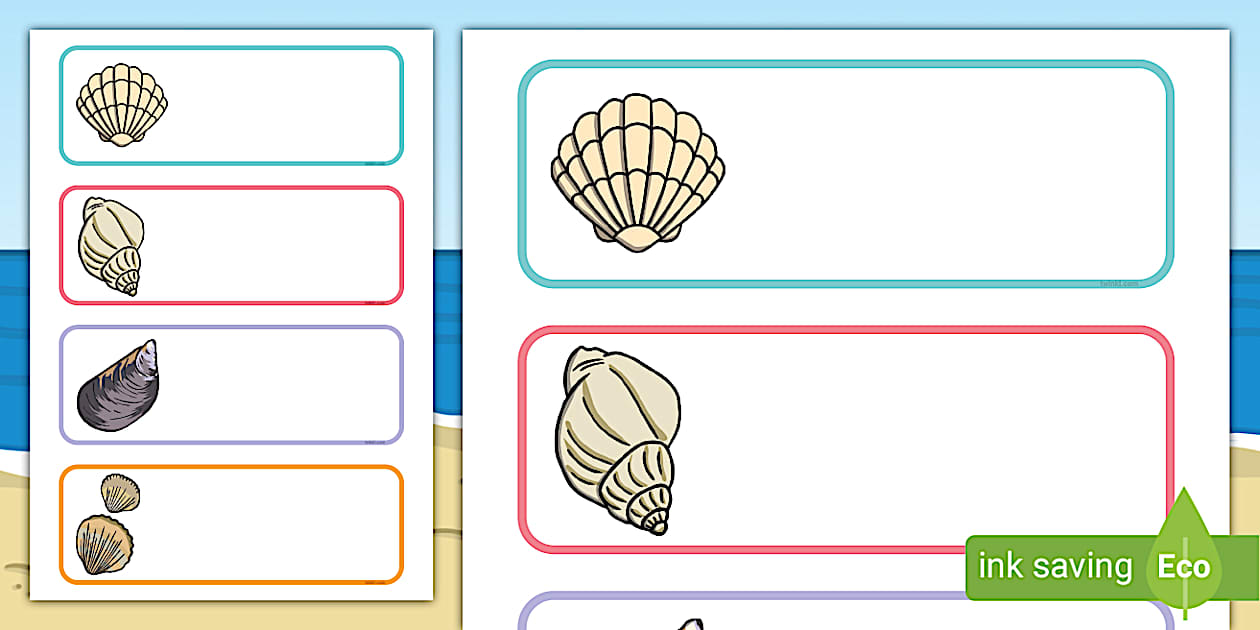 Editable Shell Name Labels (teacher made) - Twinkl