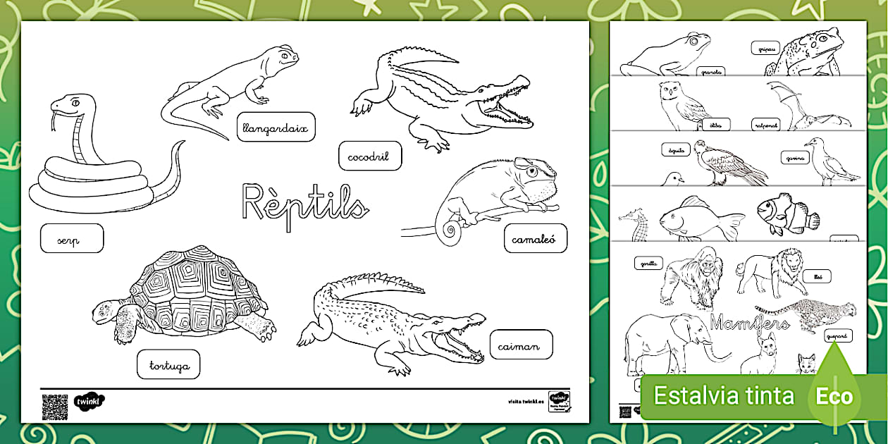 Fulls per pintar: Grups d'animals - Català - Twinkl