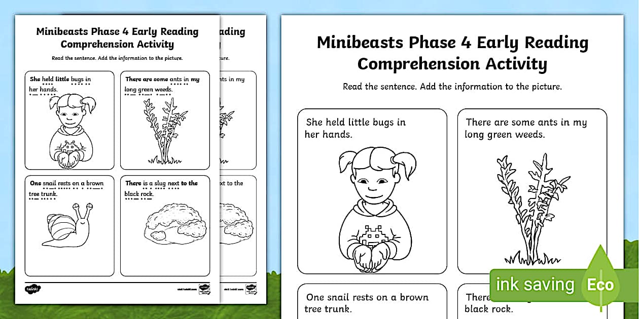 Minibeasts Phase 4 Early Reading Comprehension Activity