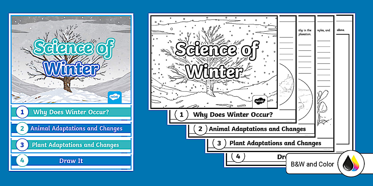 Science of Winter Flapbook for 3rd-5th Grade (Teacher-Made)