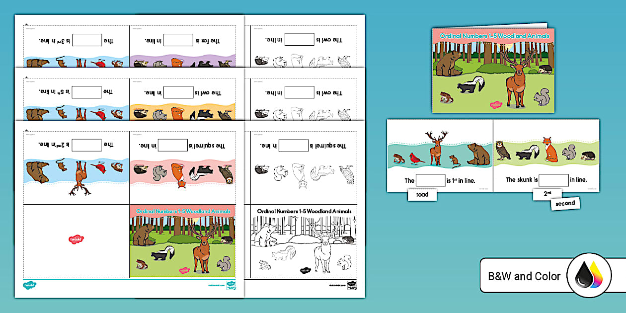 Ordinal Numbers 1-5 Woodland Animals Mini Book - Twinkl