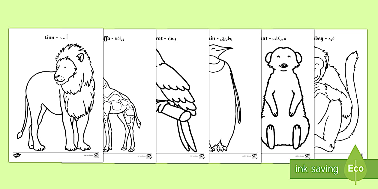 Zoo Animals Colouring Pages Arabic/English - Twinkl
