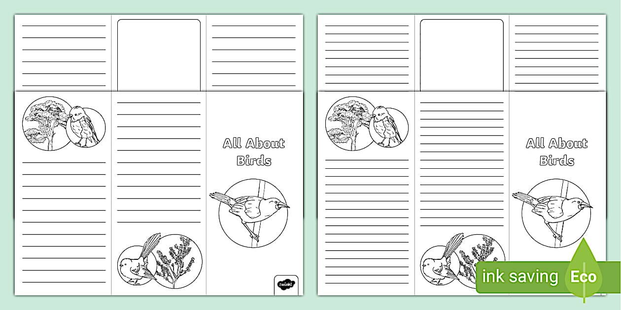 All About Birds Leaflet Template (Teacher-Made) - Twinkl