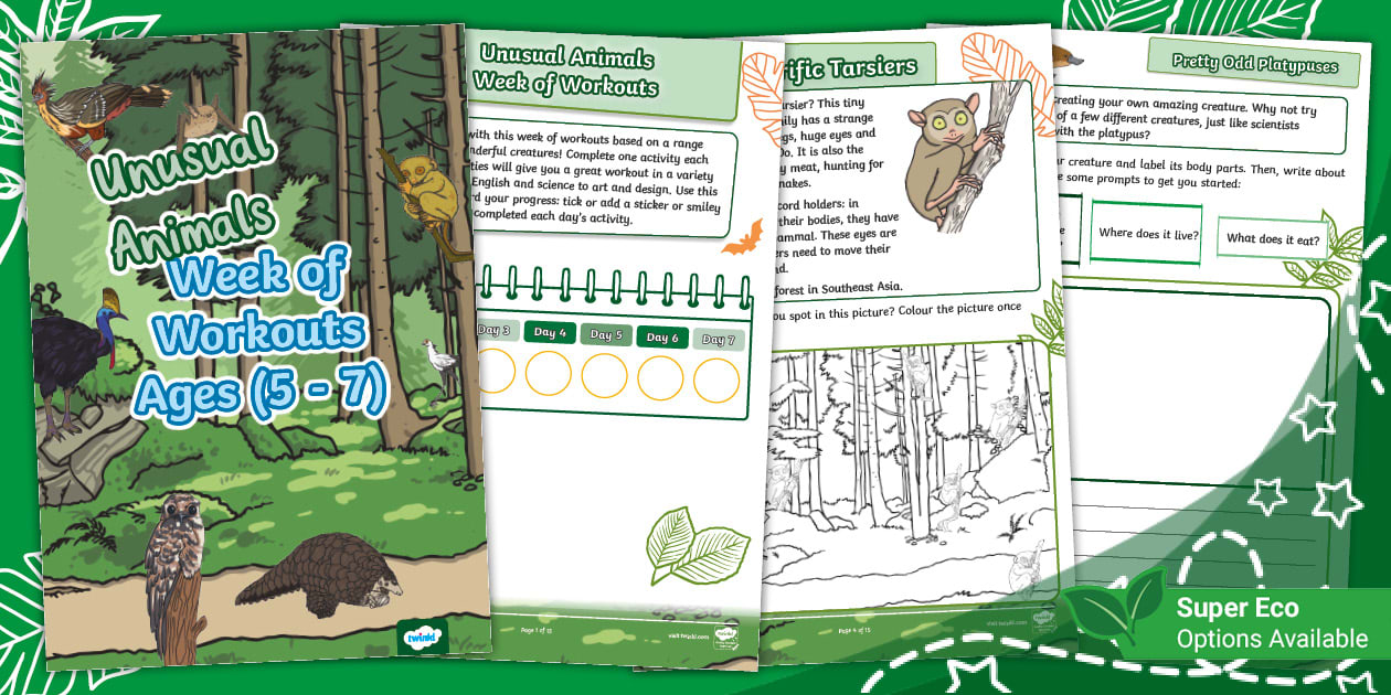 Unusual Animals Week of Workouts (Ages 5 - 7) (teacher made)
