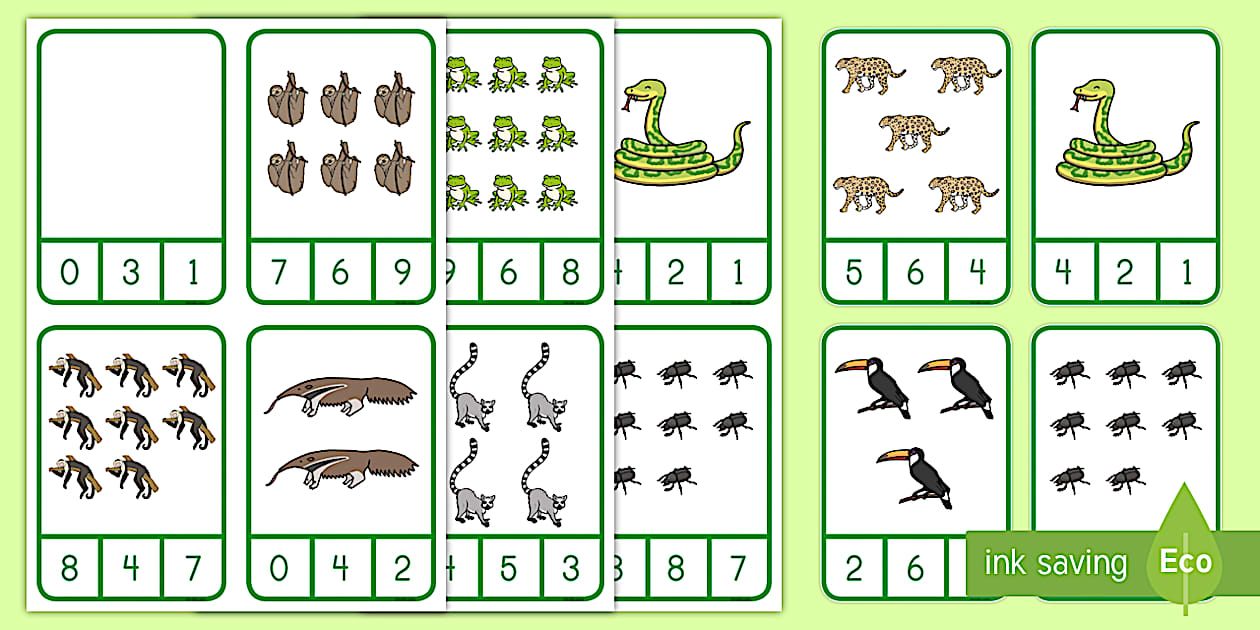 Rainforest Animals Counting to 9 Clip Cards - Twinkl