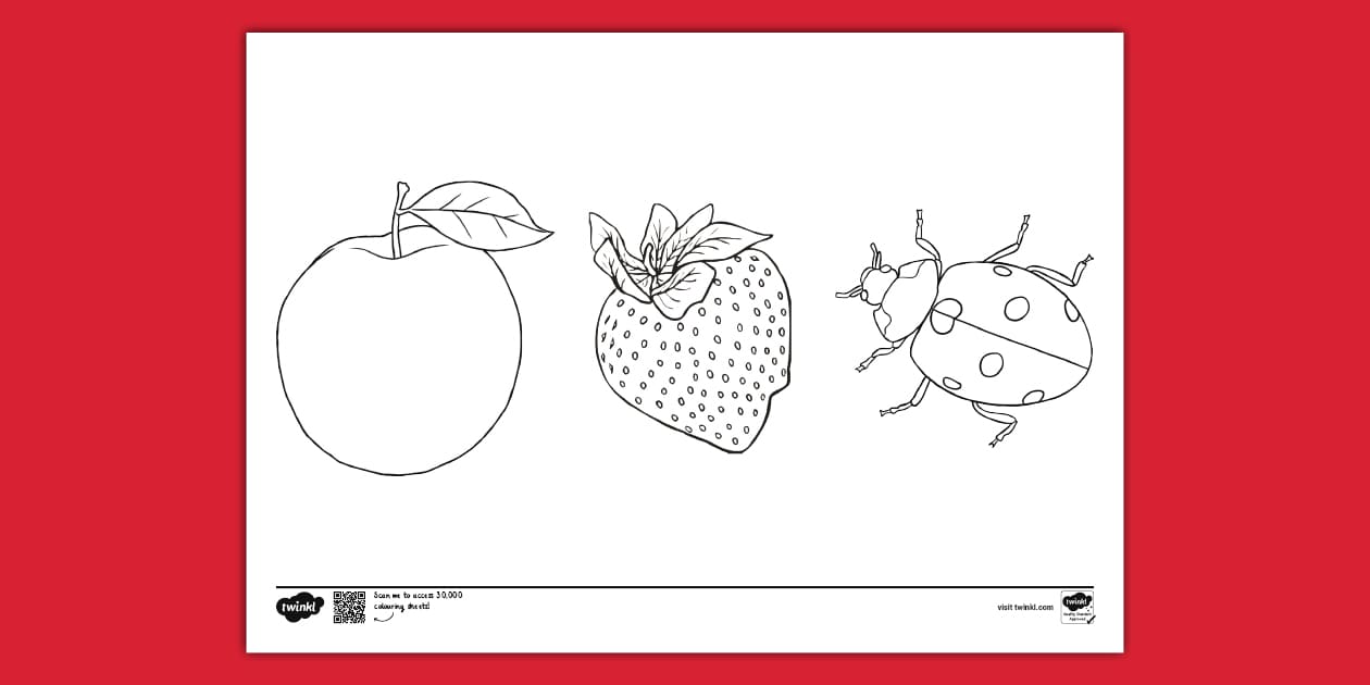 The Colour Red Colouring Page | Colouring Pages - Twinkl