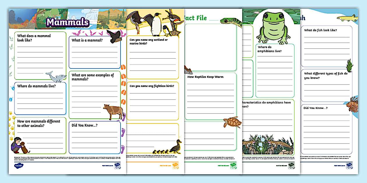 Animal Groups Fact File Template Pack (professor feito)