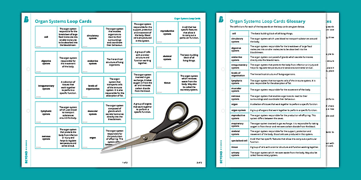 Organ System Loop Cards KS3 Beyond Science - Twinkl