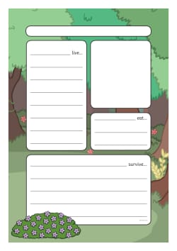 Animal Fact File Template | Primary Science | Animals