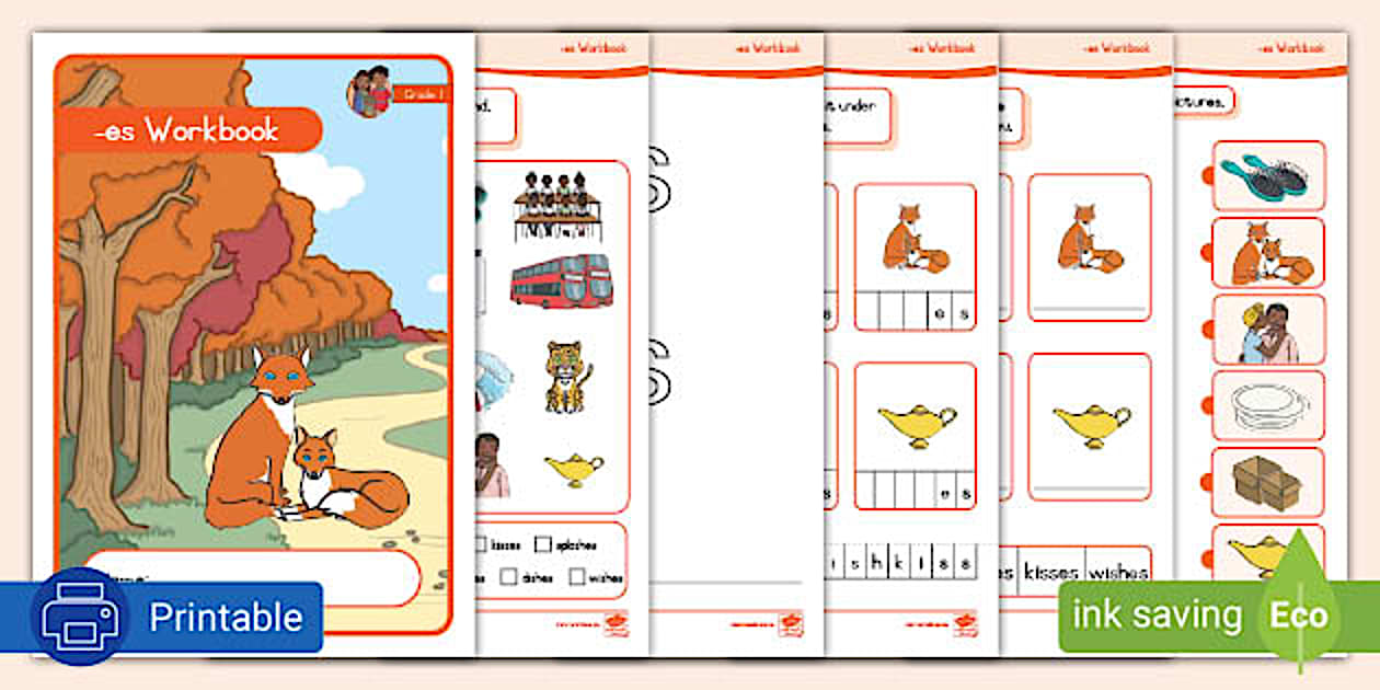 Grade 1 Phonics: -es Workbook