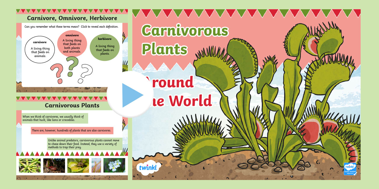 Carnivorous Plants KS2 PowerPoint - twinkl - science