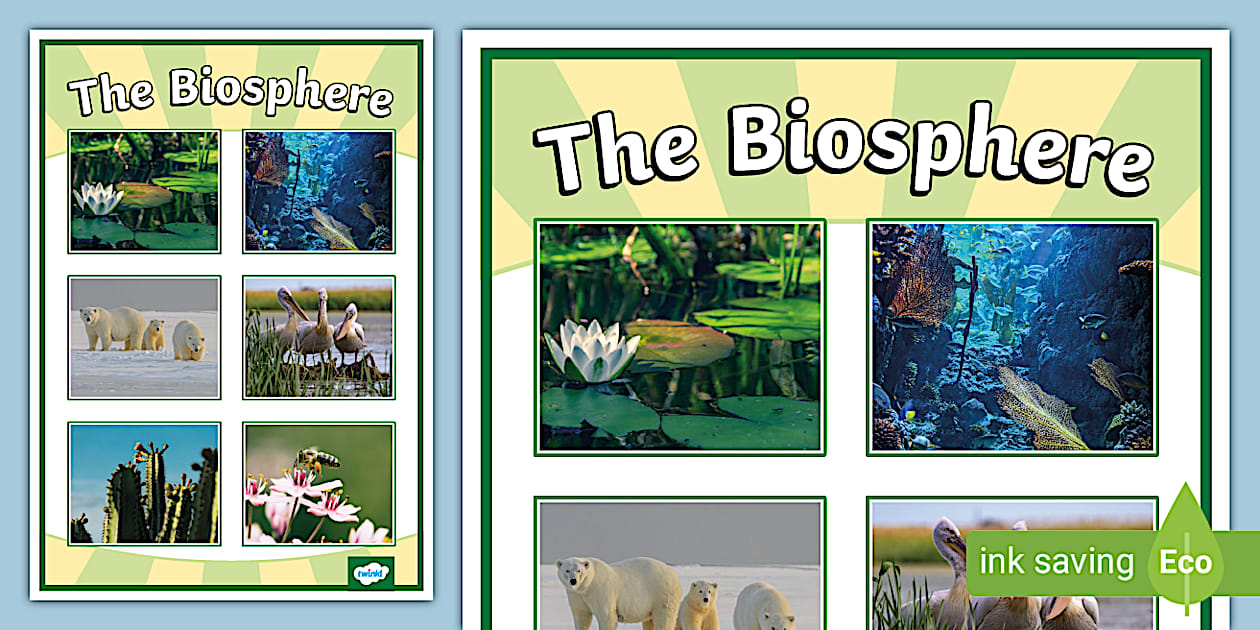 The Biosphere Photo Display Poster (teacher made) - Twinkl