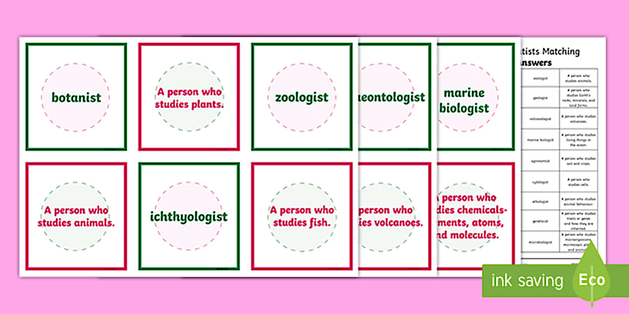 Types of Scientists Matching Cards (teacher made) - Twinkl