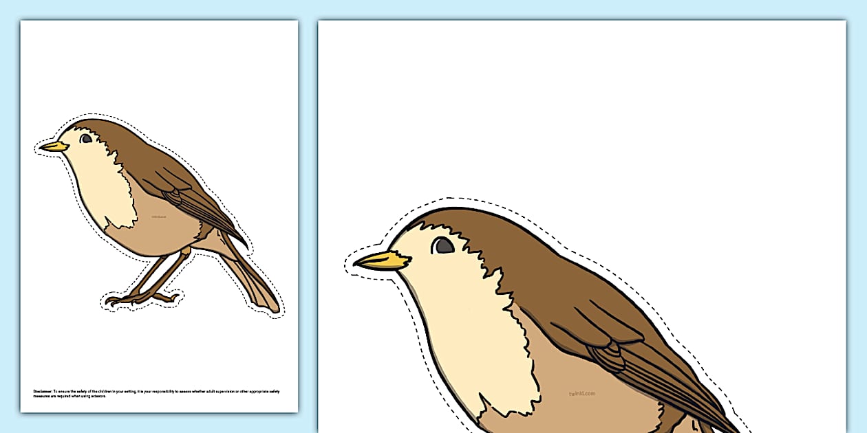 Bird Emoticon Cut-Out (Teacher-Made) - Twinkl